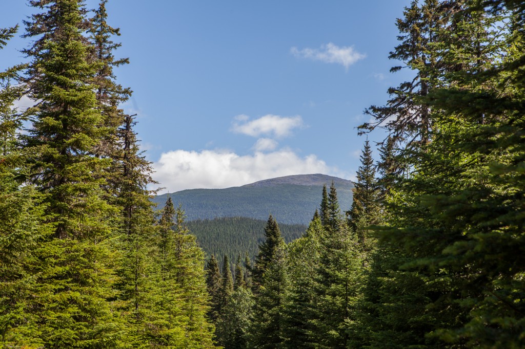 Landschaften in Kanada Bilder » Bilddatenbank » Stockfotos
